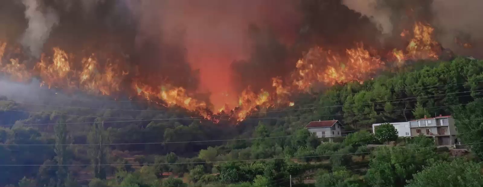 Komodo Fire Systems | Eco-Friendly Fire Retardant Spray – Komodo Fire ...